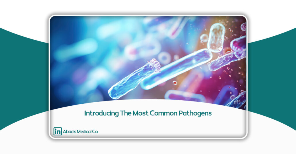 Introducing the most common pathogens | Abadis-Med
